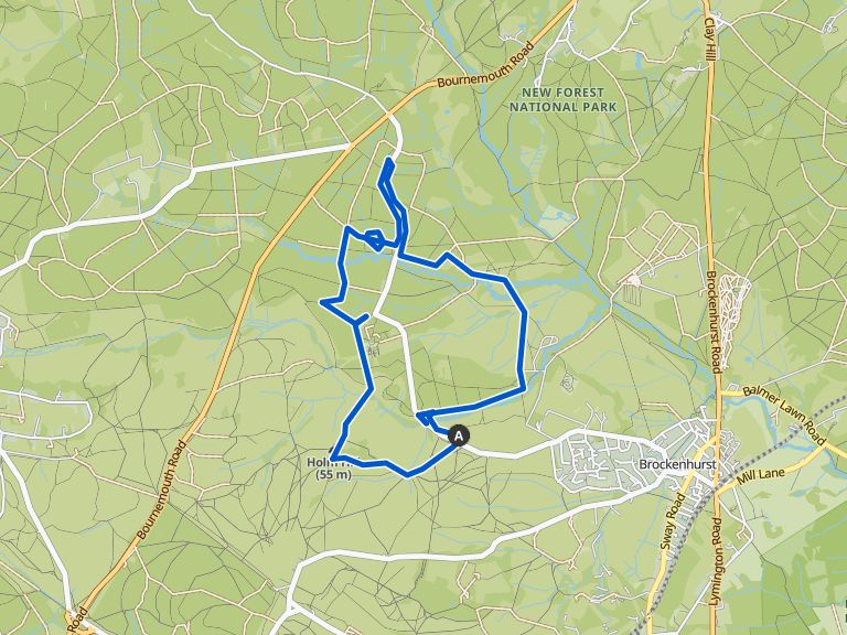 Whitefield Moor loop — New Forest National Park | hike | Komoot